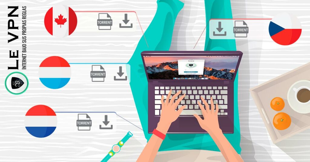 ¿Cuál es la Mejor VPN para Torrents? ¡Seamos Sinceros! | Le VPN